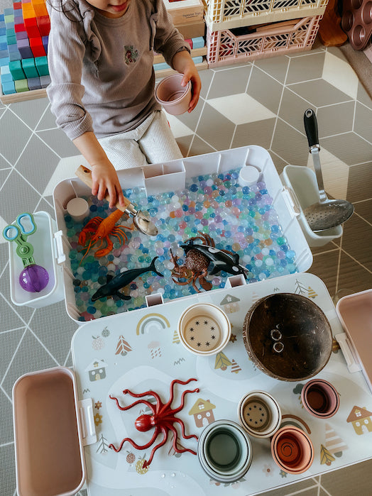 Carry-Play™ Kids Table – Poppy Penny